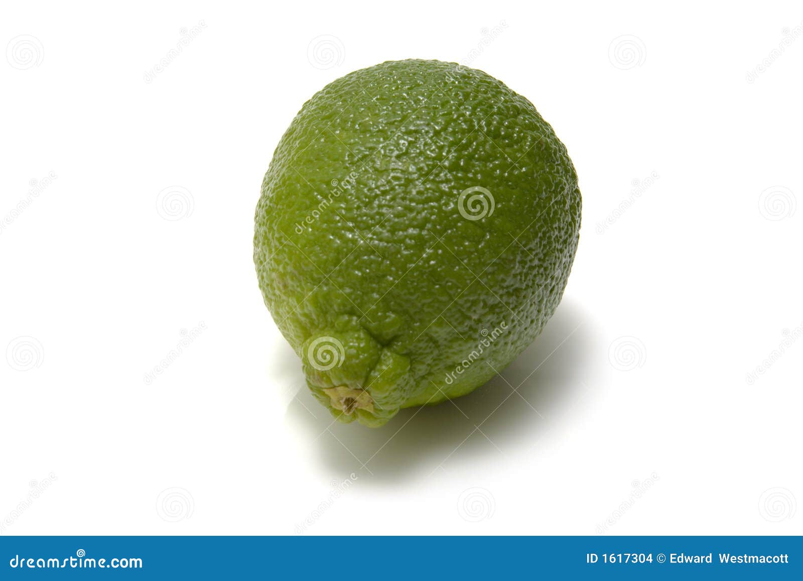 Lime stock photo. Image of citrus, uncooked, greenish - 1617304