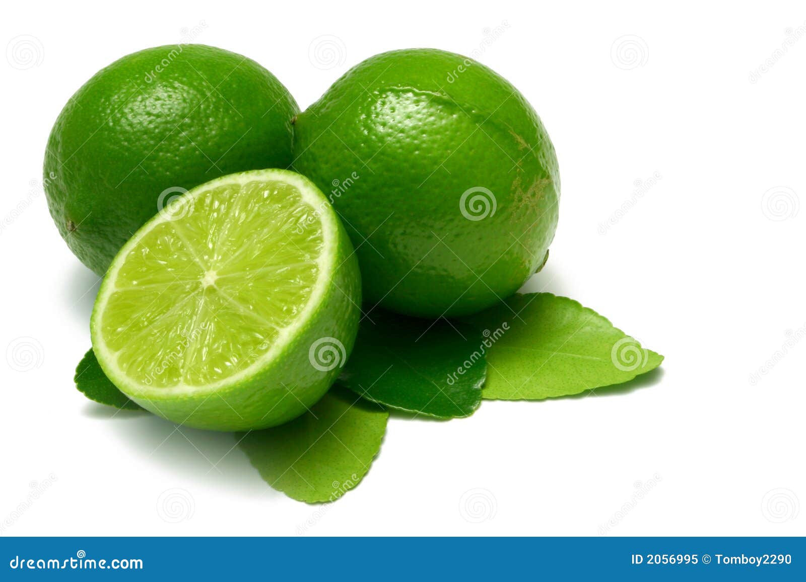 Lime stock image. Image of sour, leaf, isolated, food - 2056995