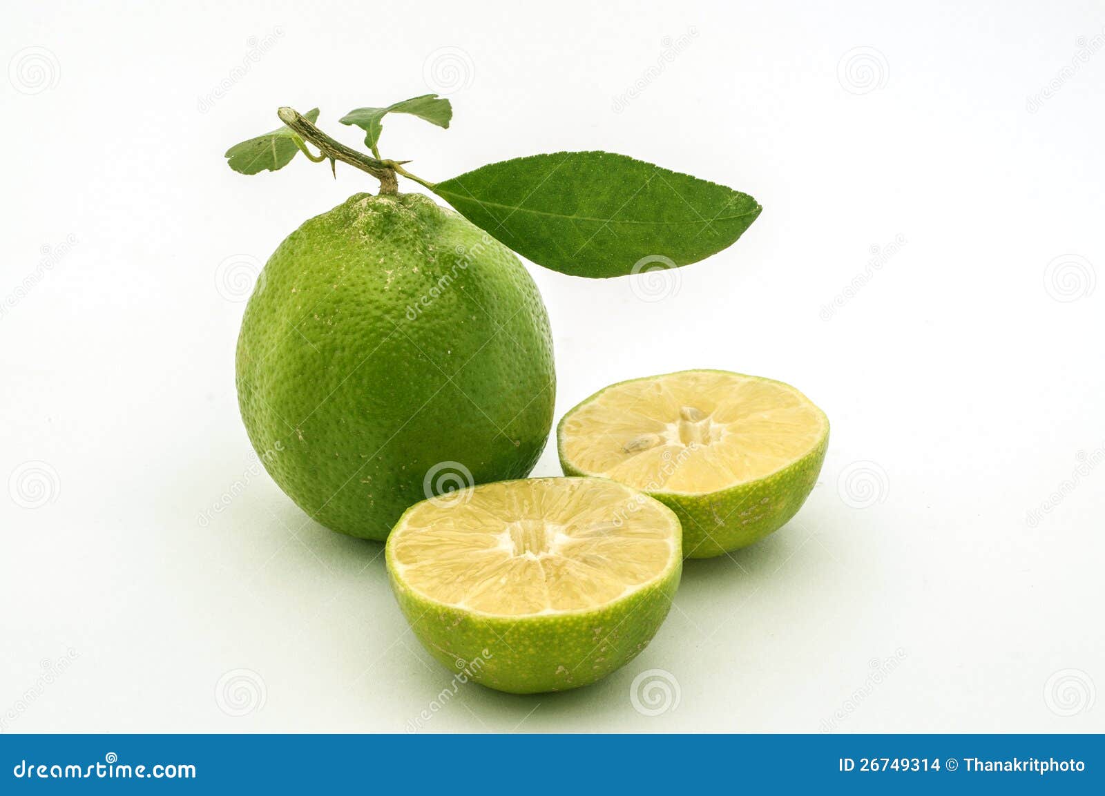 Lime stock photo. Image of nutritious, leaf, isolated - 26749314