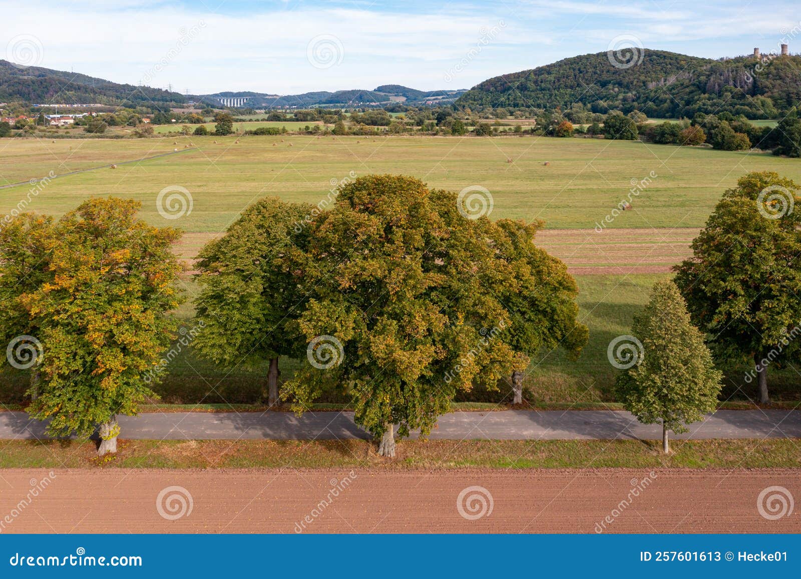 Lime Alley at Herleshausen in Hesse Stock Image - Image of lime, green ...