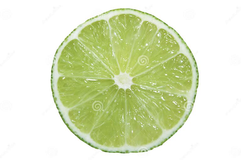 Lime Cross Section stock photo. Image of citrus, fruit - 11029608