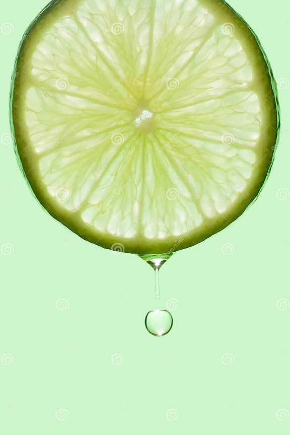 Lime Drop stock image. Image of health, isolation, background - 2888545
