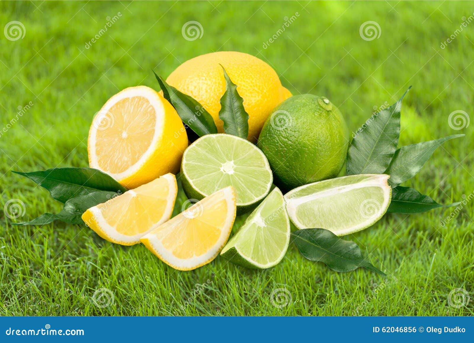 Lime fruit stock photo. Image of lime, vegetable, diet - 62046856
