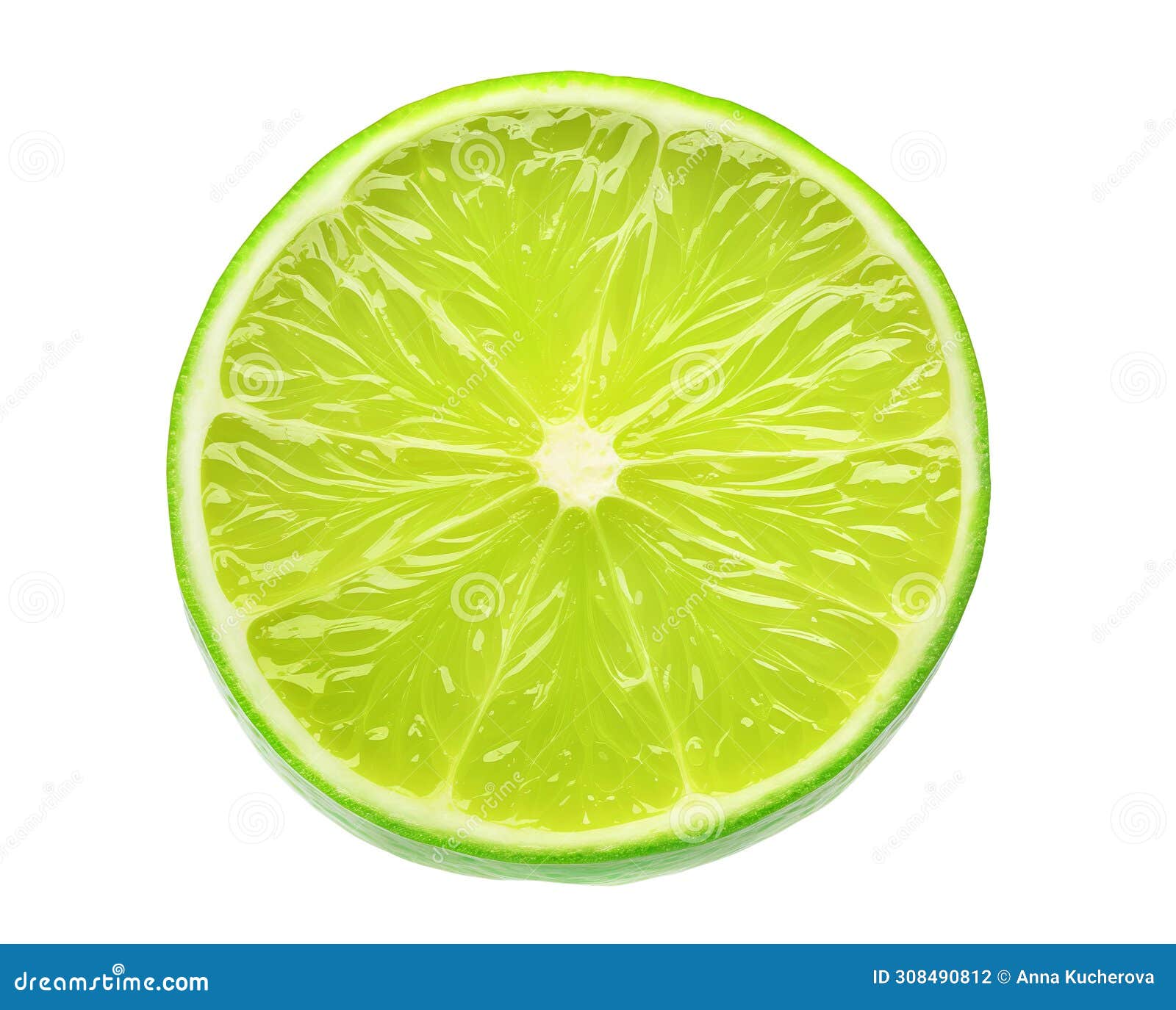 Lime Fruit Cross Section Isolated on White Stock Photo - Illustration ...