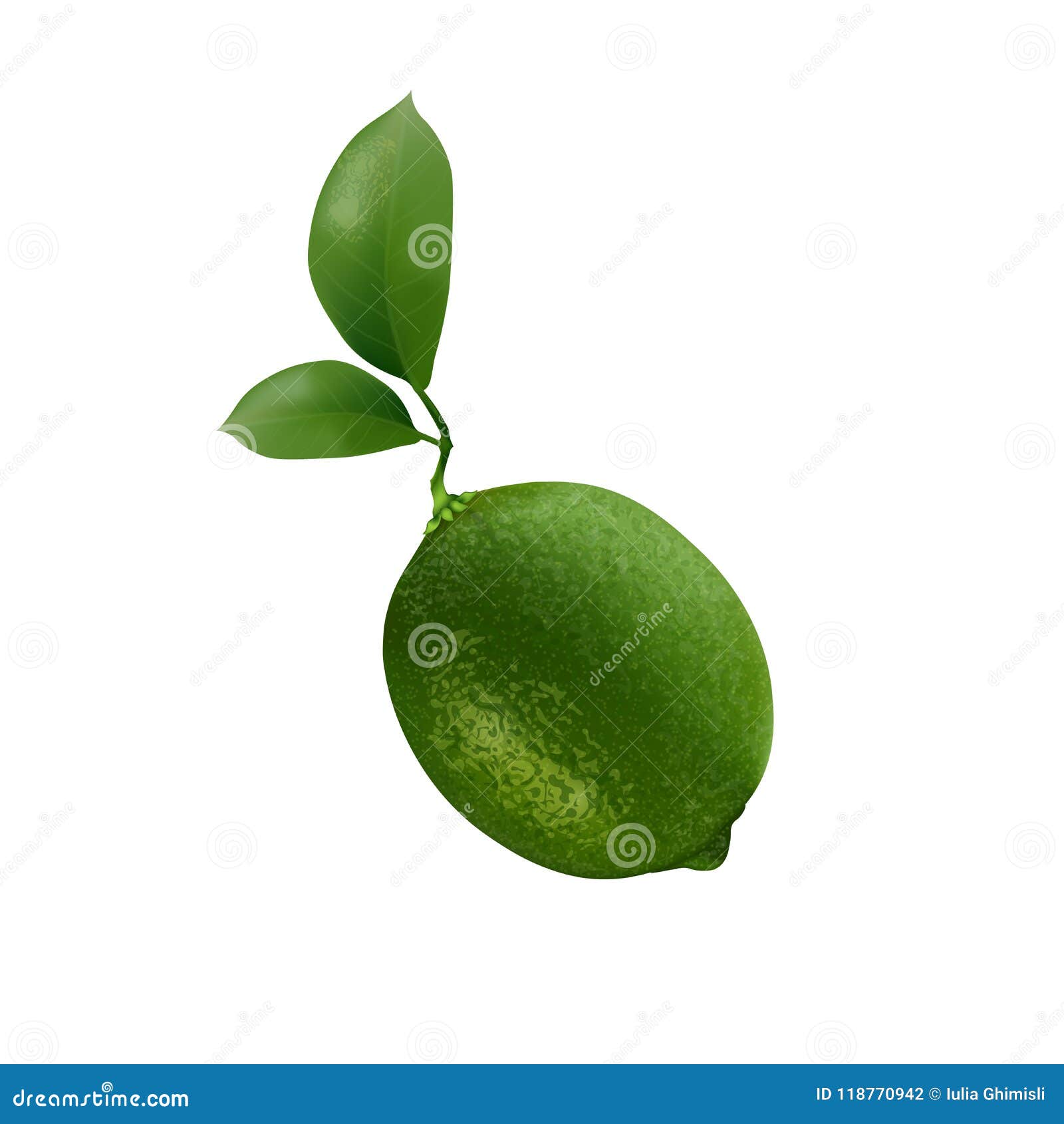 Ripe Realistic Lime Stock Illustrations – 1,086 Ripe Realistic Lime ...