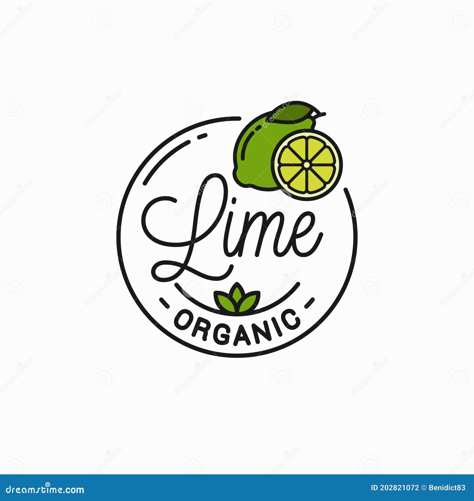 Lime Fruit Logo. Round Linear Logo of Lime Slice Stock Vector ...