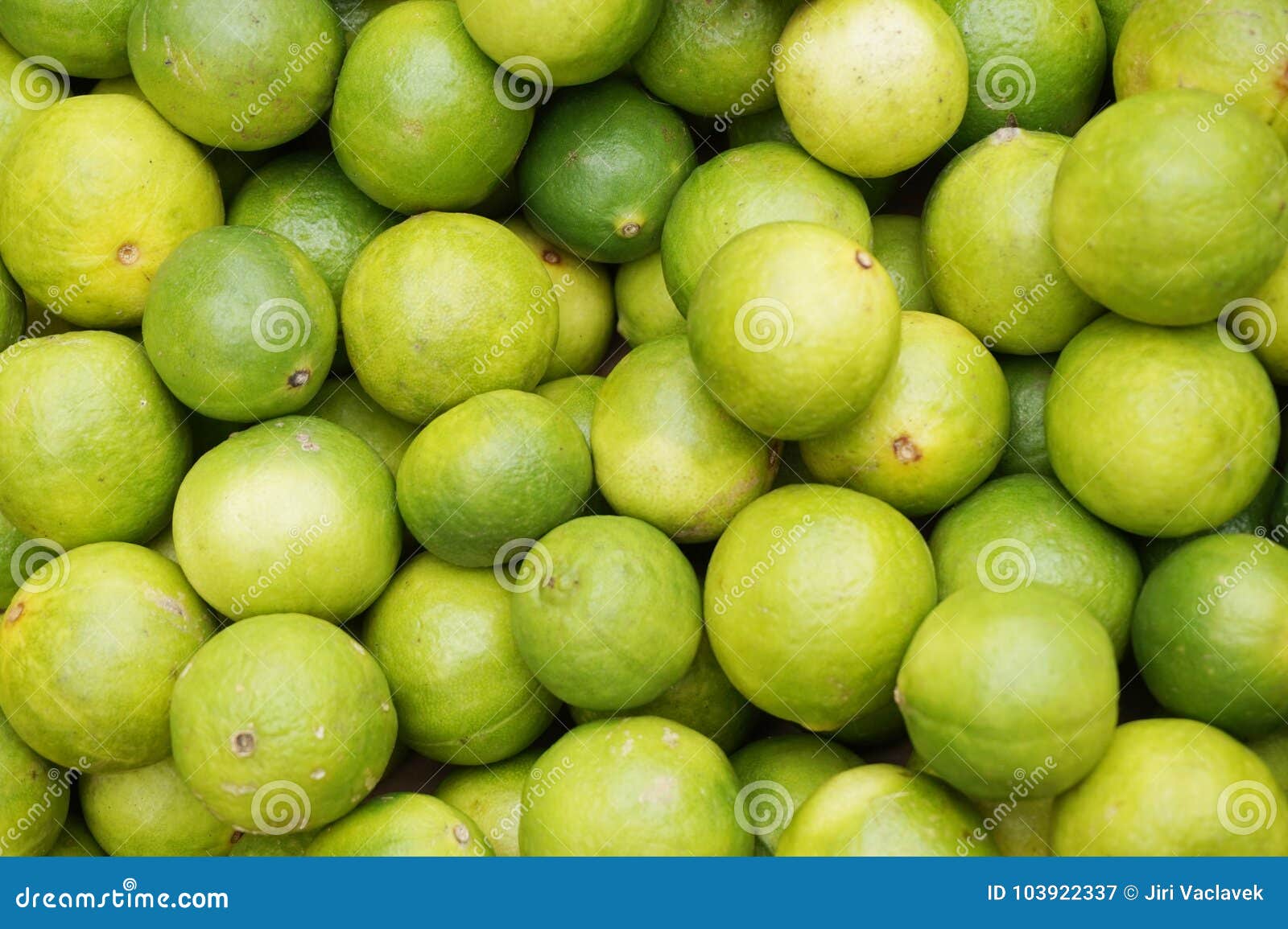 Lime fruit texture stock image. Image of tropical, food - 103922337