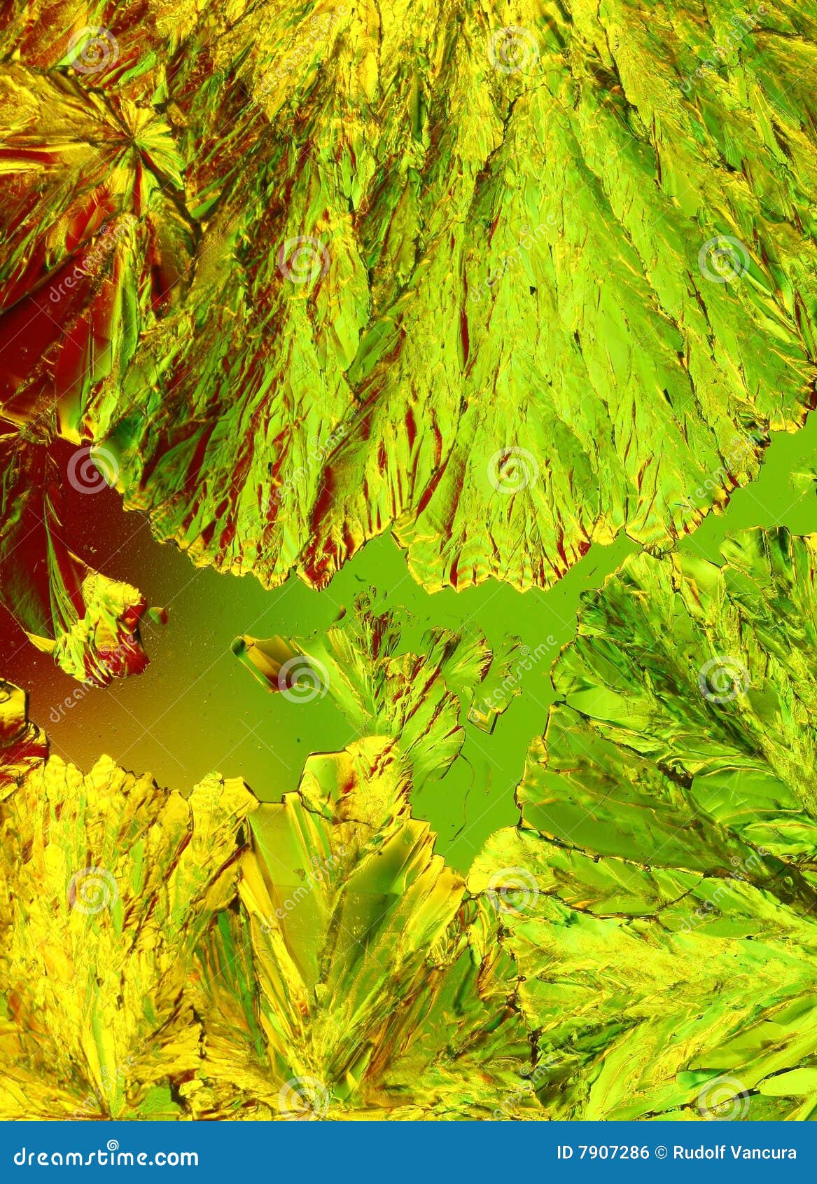 Lime Green Paint Texture Stock Photo | CartoonDealer.com #8062236