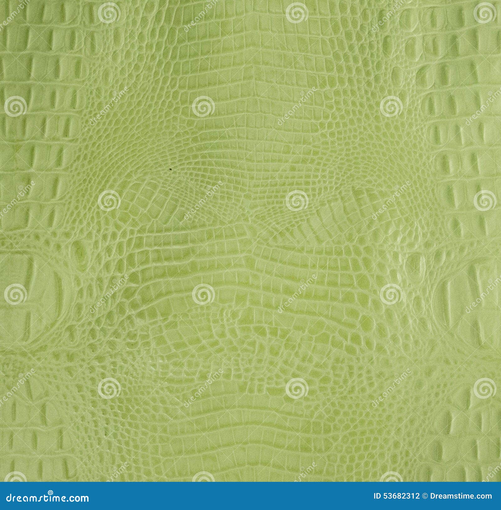 Lime Green Embossed Gator Back Leather Texture Stock Photo - Image of ...