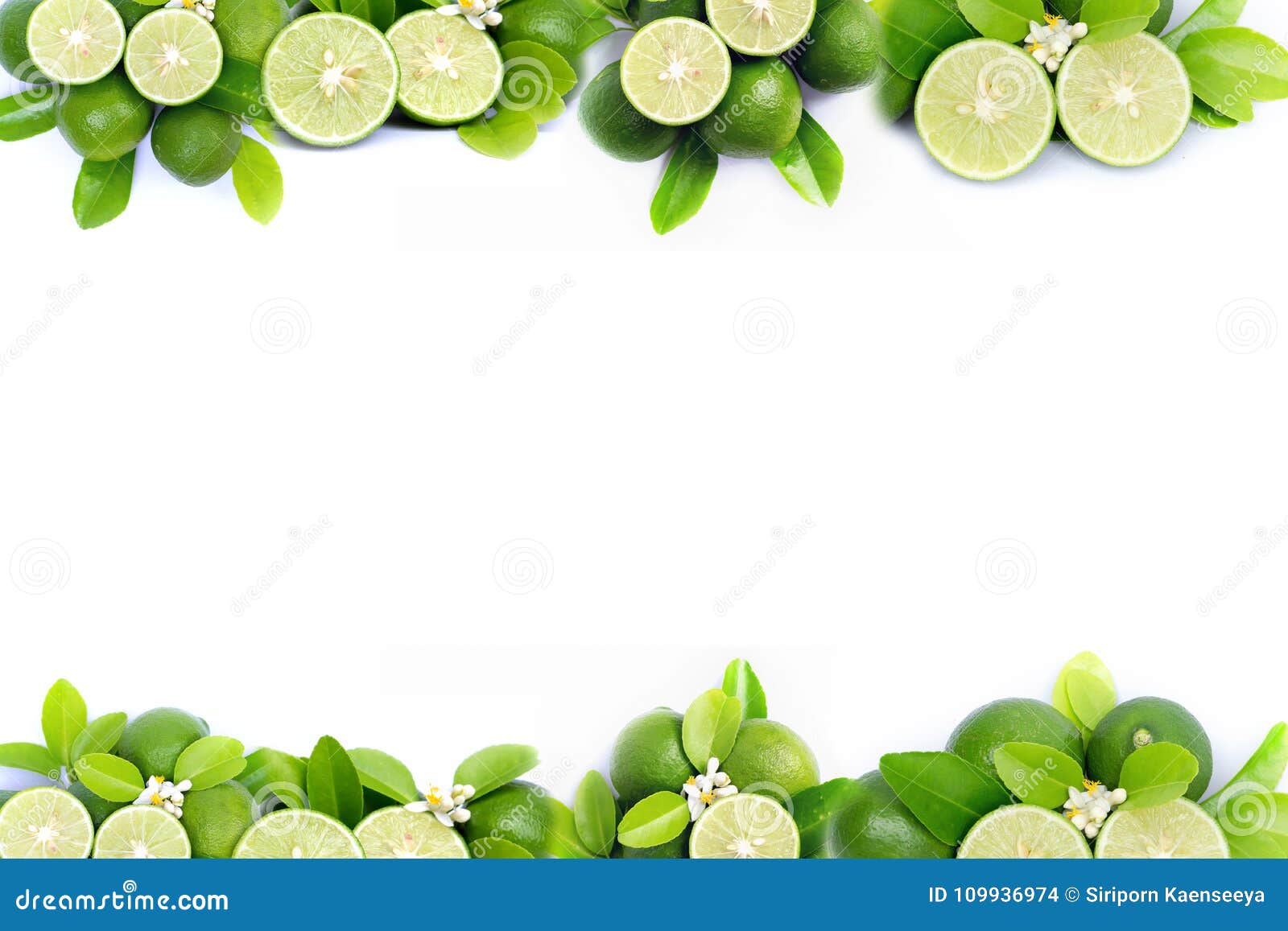 Lime and Green Leaf Frame and Border on White Background Stock Photo ...