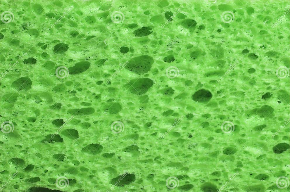 Lime Green Sponge stock photo. Image of bright, hole, clean - 931536