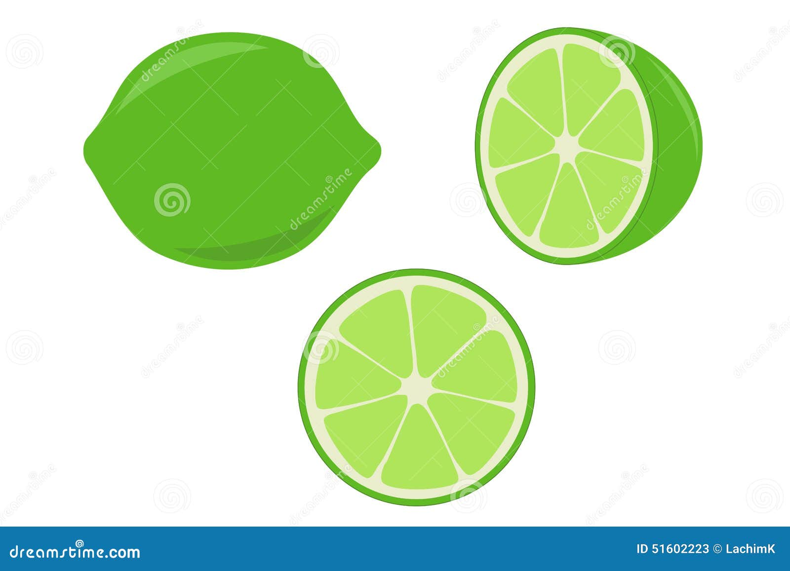 Lime stock vector. Illustration of vector, lime, logo - 51602223