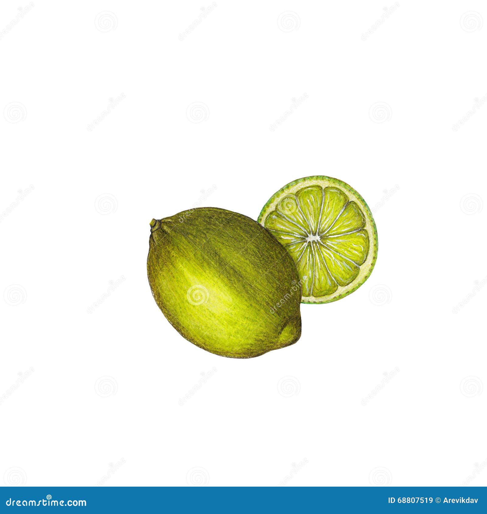 Lime illustration stock illustration. Illustration of healthy - 68807519