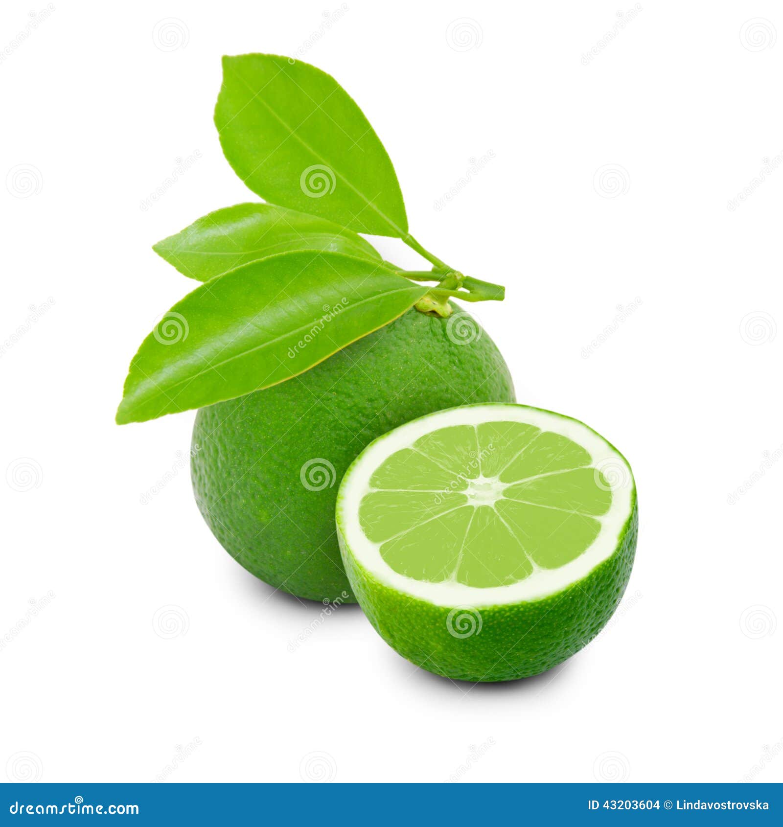 Lime isolated stock photo. Image of close, closeup, lime - 43203604