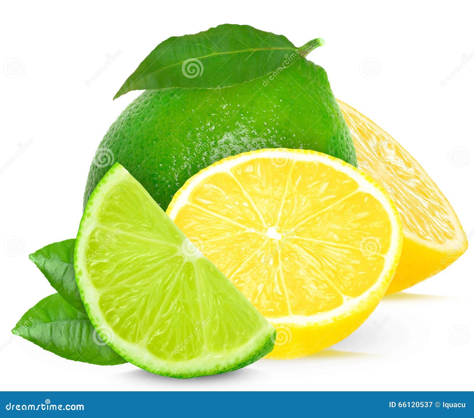 Lime and lemon stock image. Image of green, sweet, lemons - 66120537