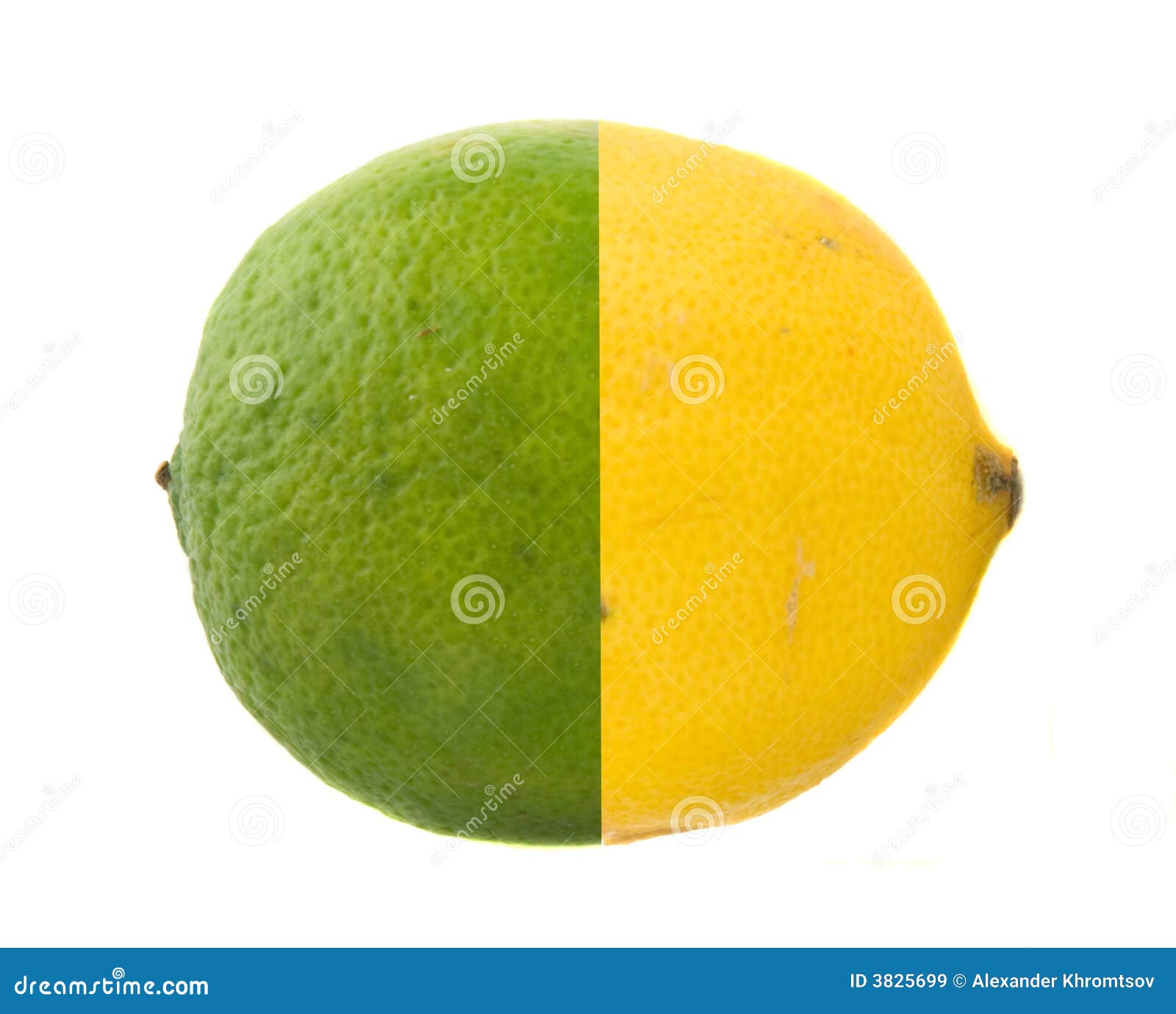 Lime and Lemon in One stock image. Image of fruit, food - 3825699