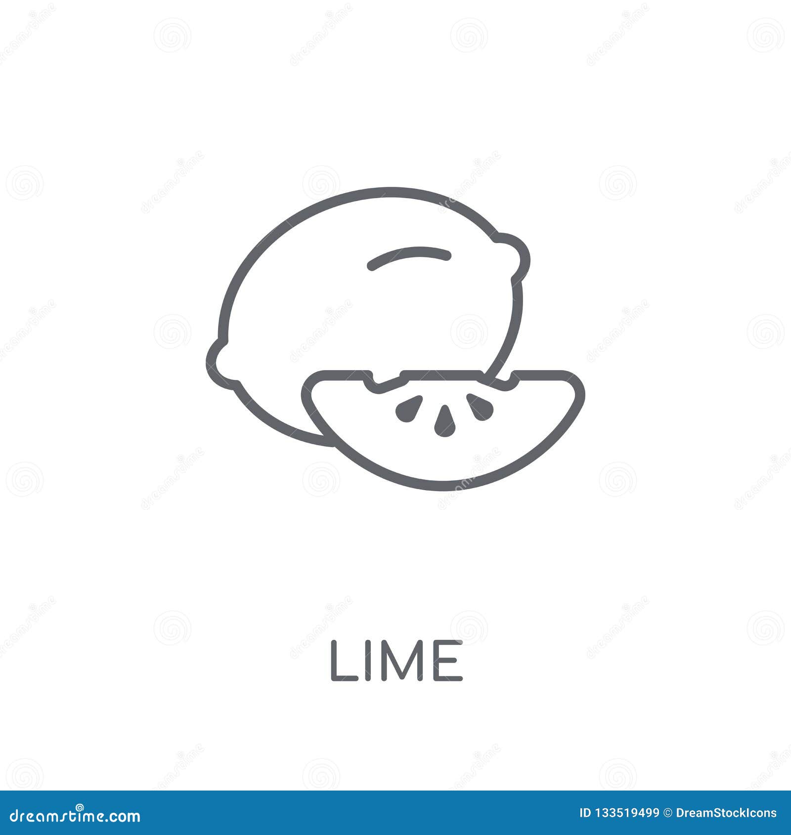 Lime Linear Icon. Modern Outline Lime Logo Concept on White Back Stock ...