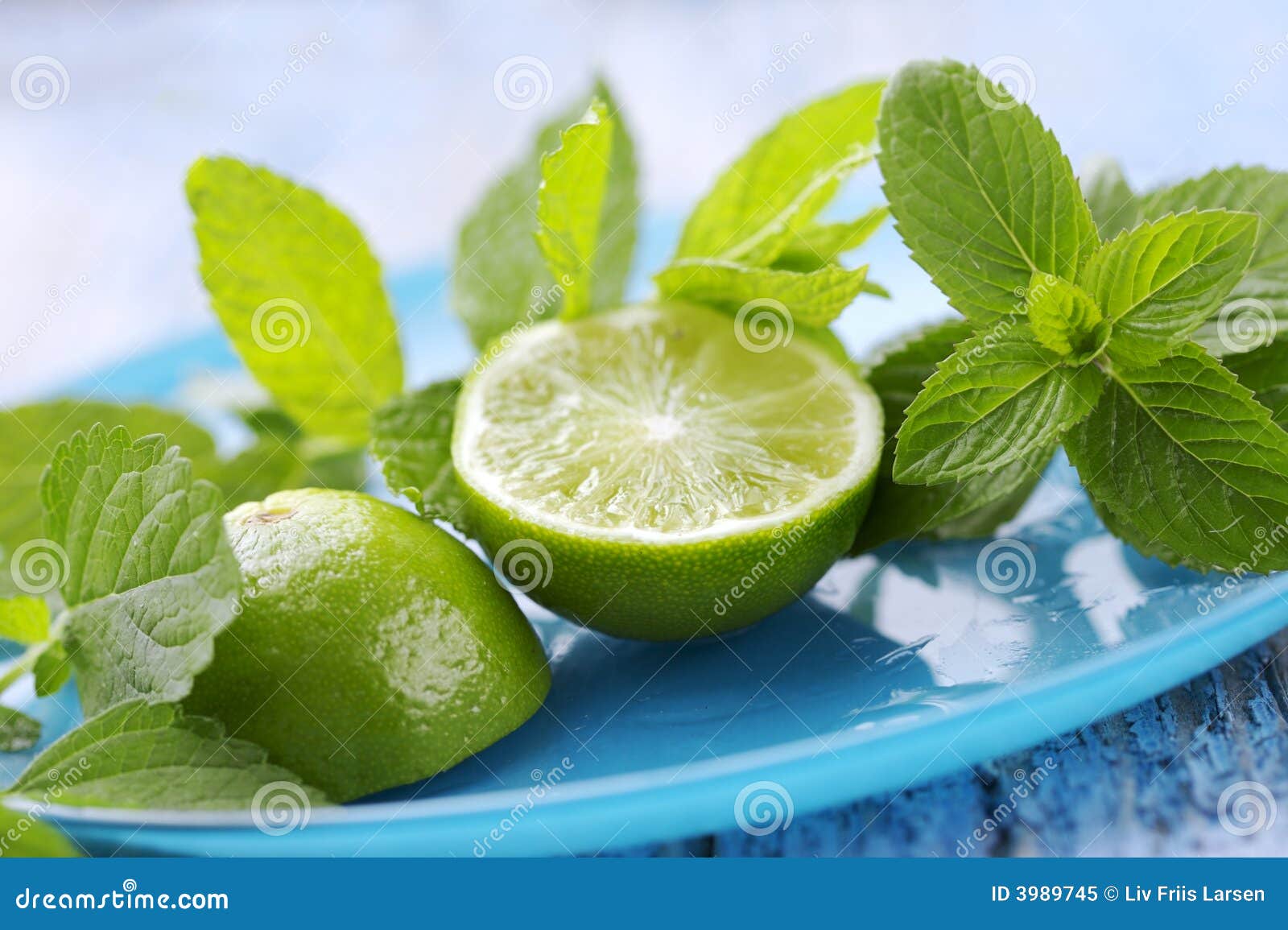 Lime and mint stock image. Image of fruit, limr, green - 3989745