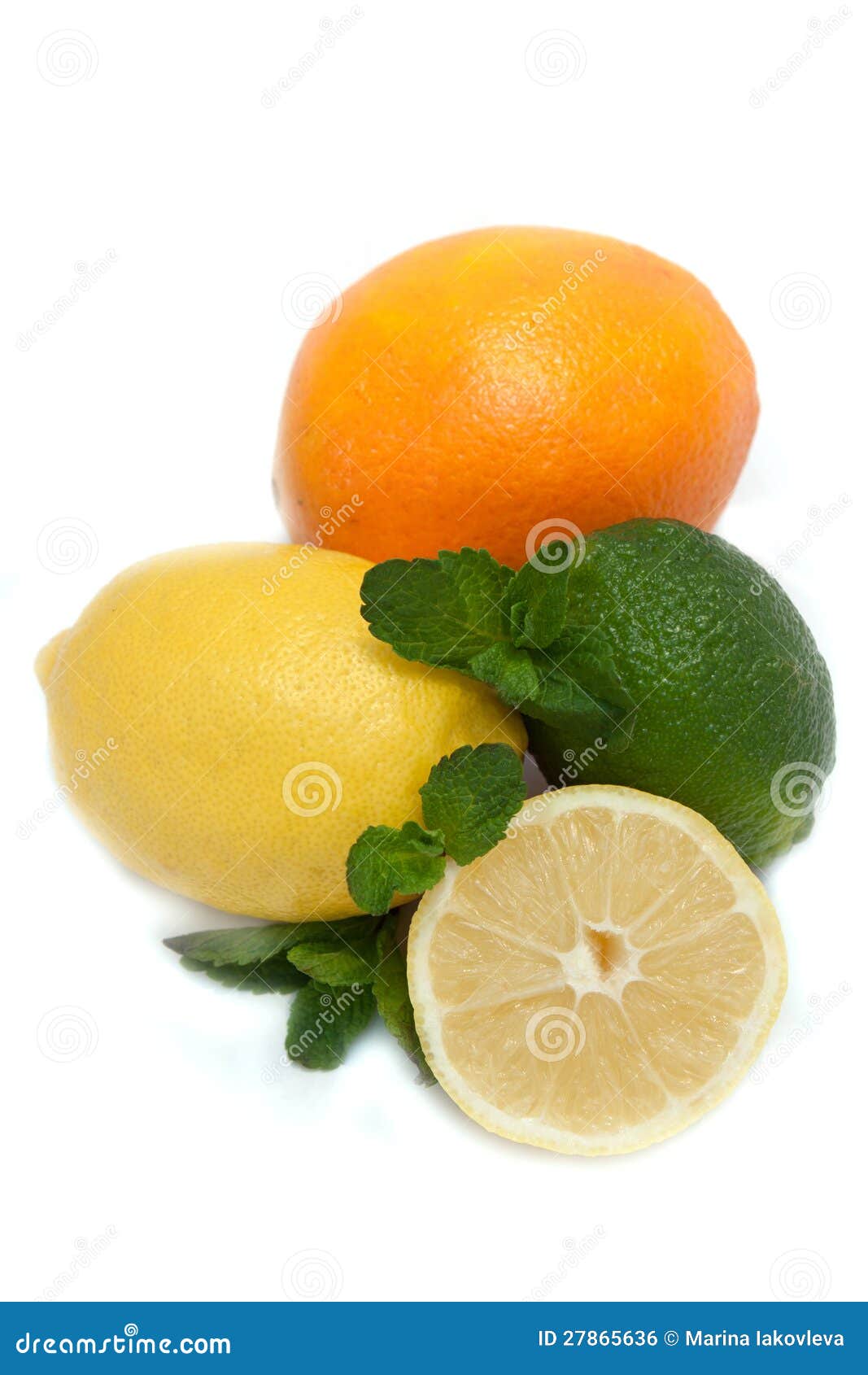 Lime, mint, orange, lemon stock photo. Image of herb - 27865636