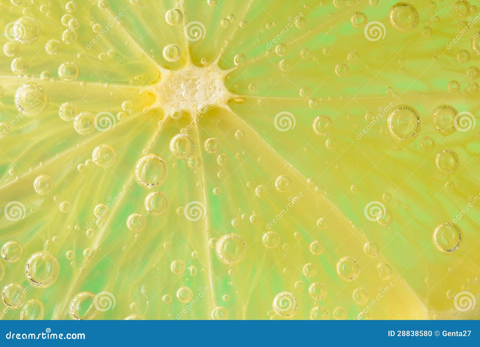 Lime pulp stock photo. Image of detail, background, healthy - 28838580