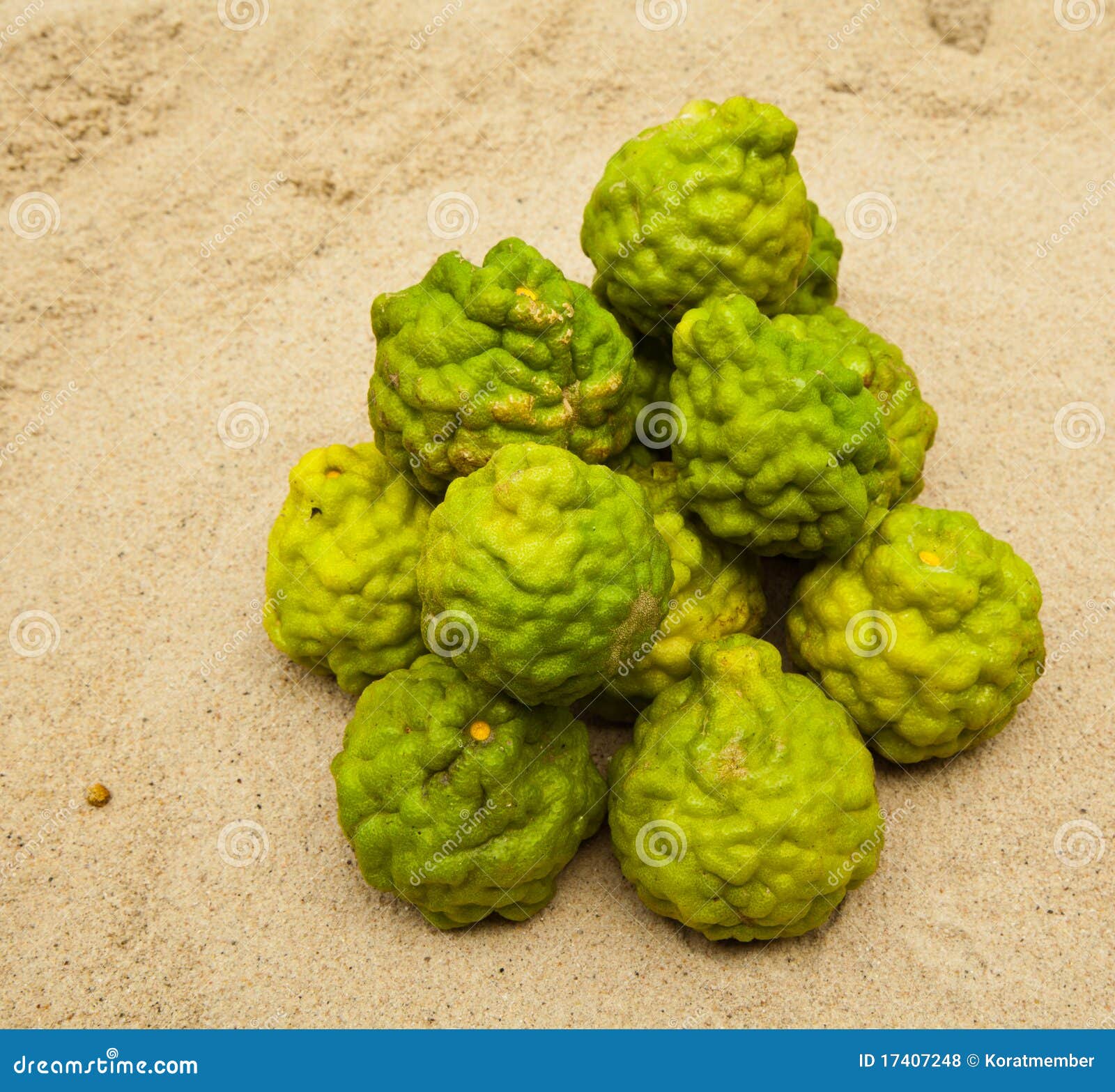 Lime on sand stock photo. Image of farm, smell, yellow - 17407248