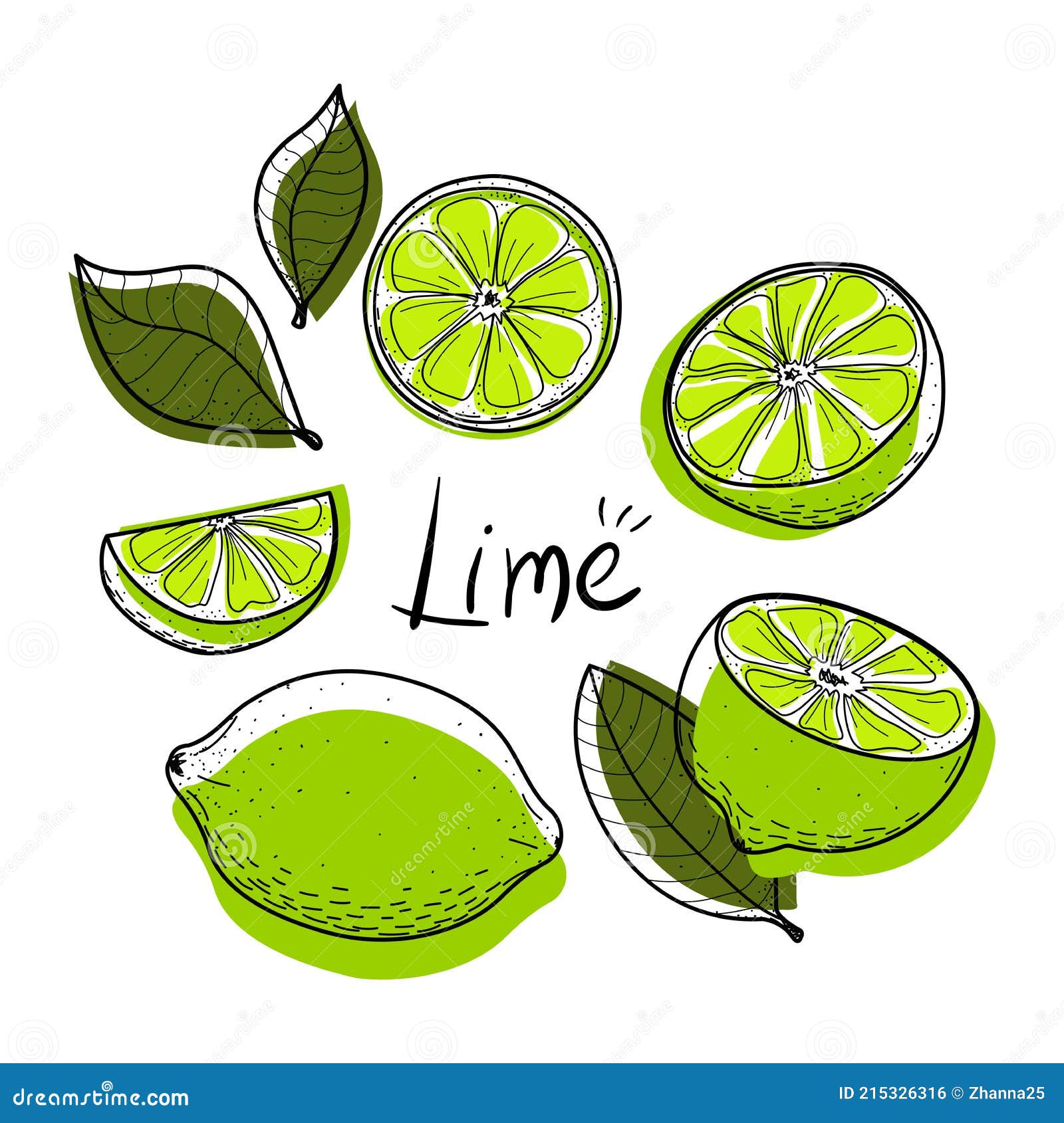 Lime Set. Lime, Slice, Half, Whole, and Leaves Stock Vector ...