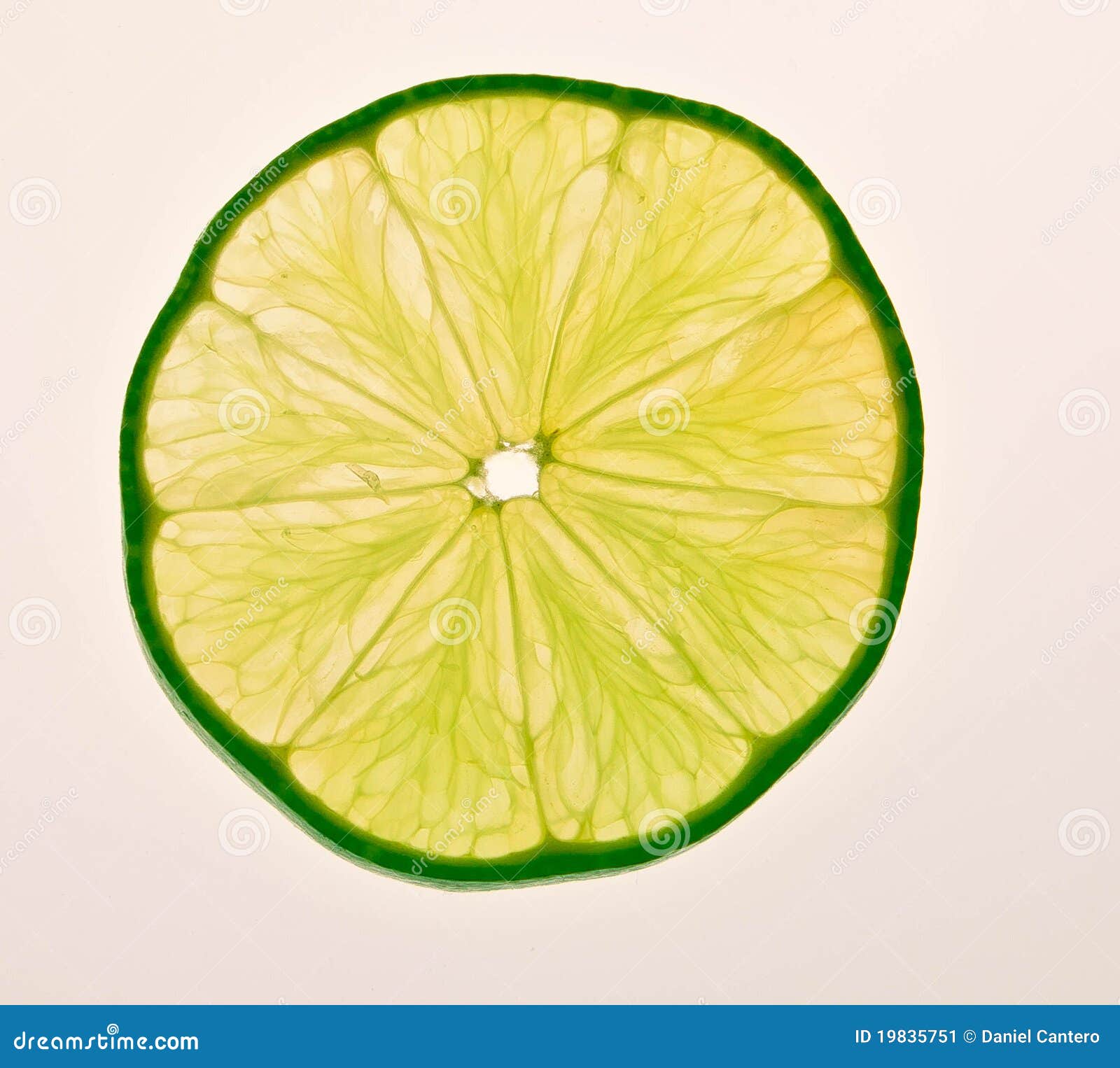 Lime Slice stock image. Image of slices, cocktail, sour - 19835751