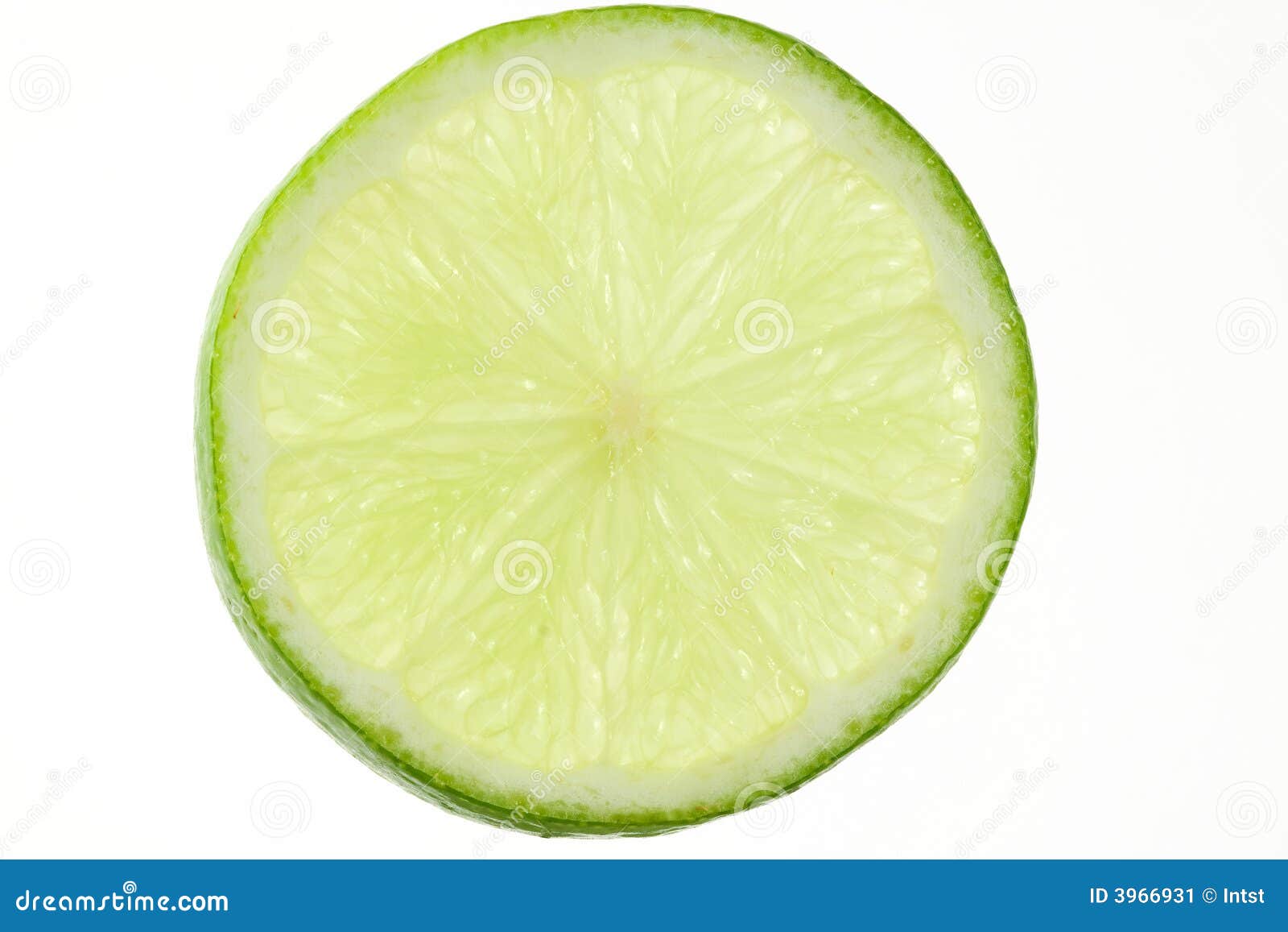 Lime slice stock image. Image of closeup, juicy, cocktail - 3966931