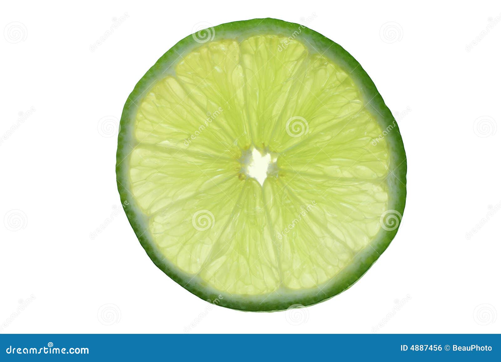 Lime slice stock photo. Image of lime, ingredient, slice - 4887456
