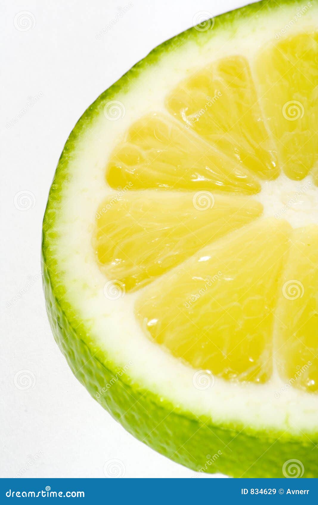 Lime slice ISOLATED stock image. Image of feel, lemon, rest - 834629