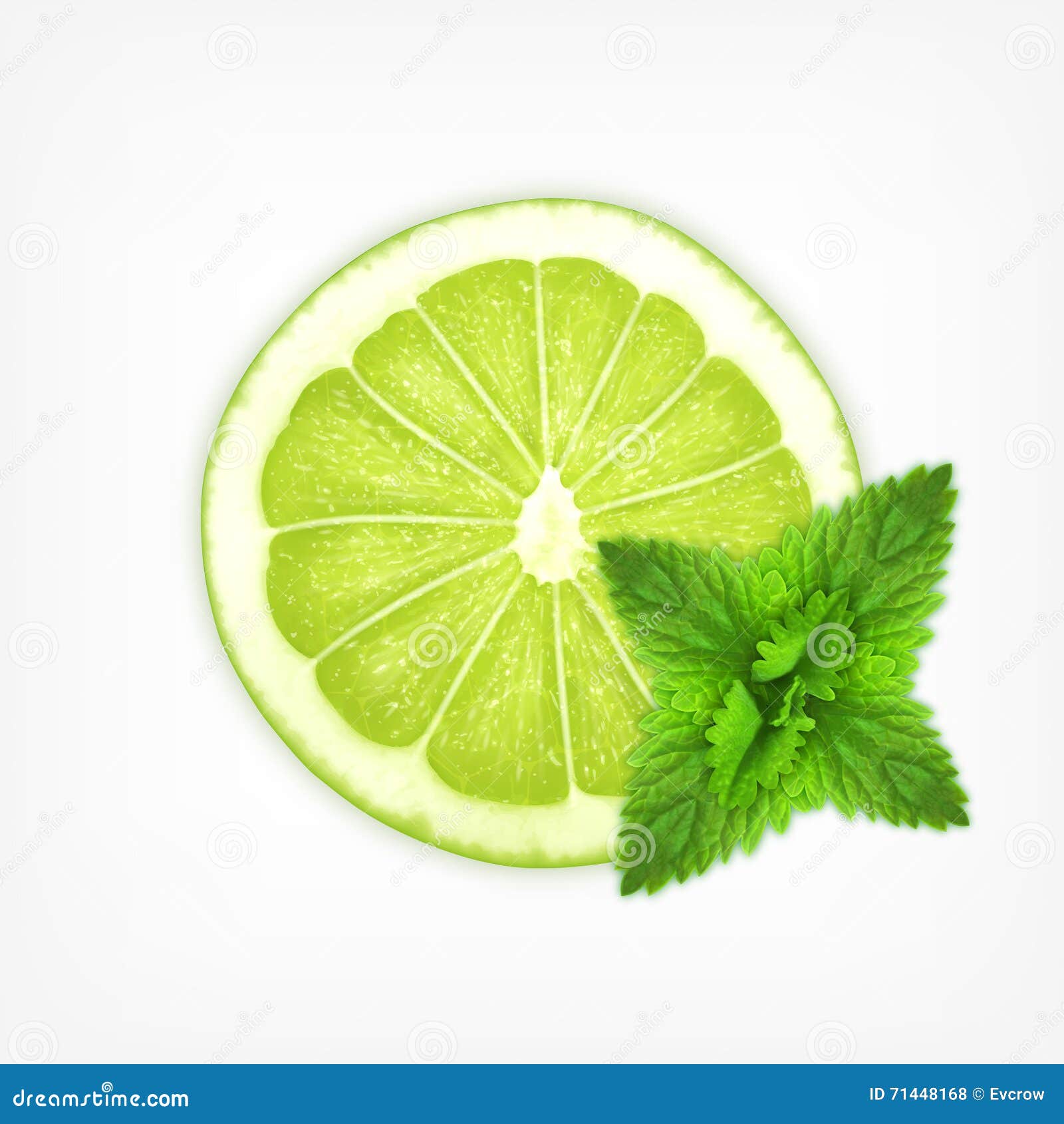 Lime slice with mint stock vector. Illustration of cocktail - 71448168
