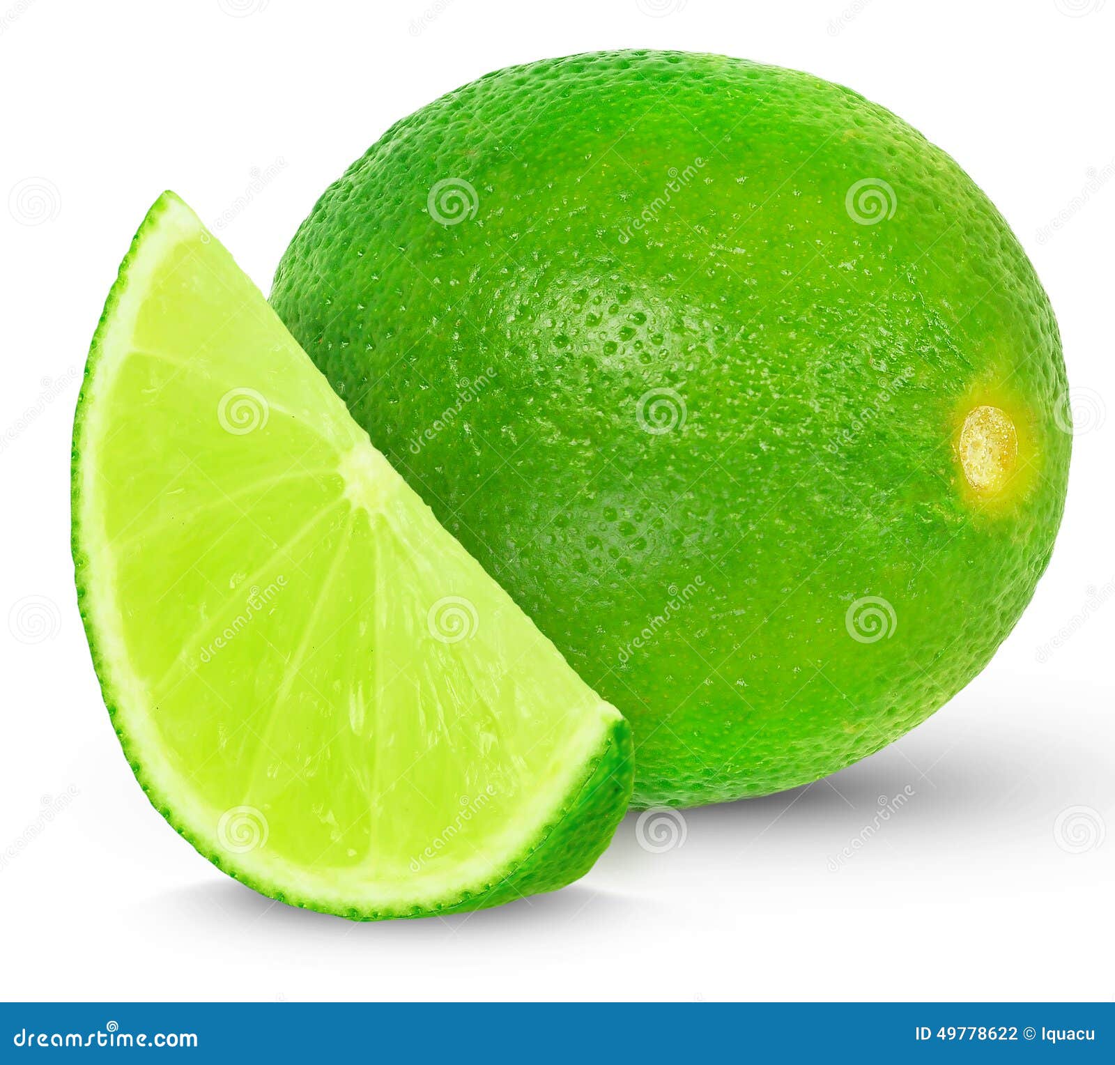 Lime slice stock photo. Image of healthy, limes, nature - 49778622