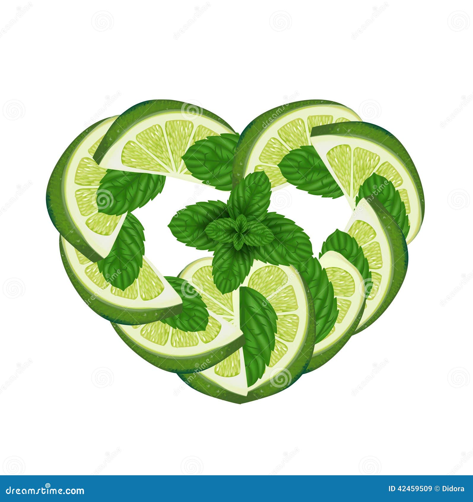 Lime Slices in Heart Shape Isolated on White Stock Vector ...