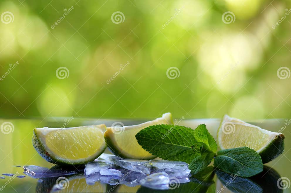 Lime Slices on a Mirror Surface. Stock Image - Image of citron, mirror ...