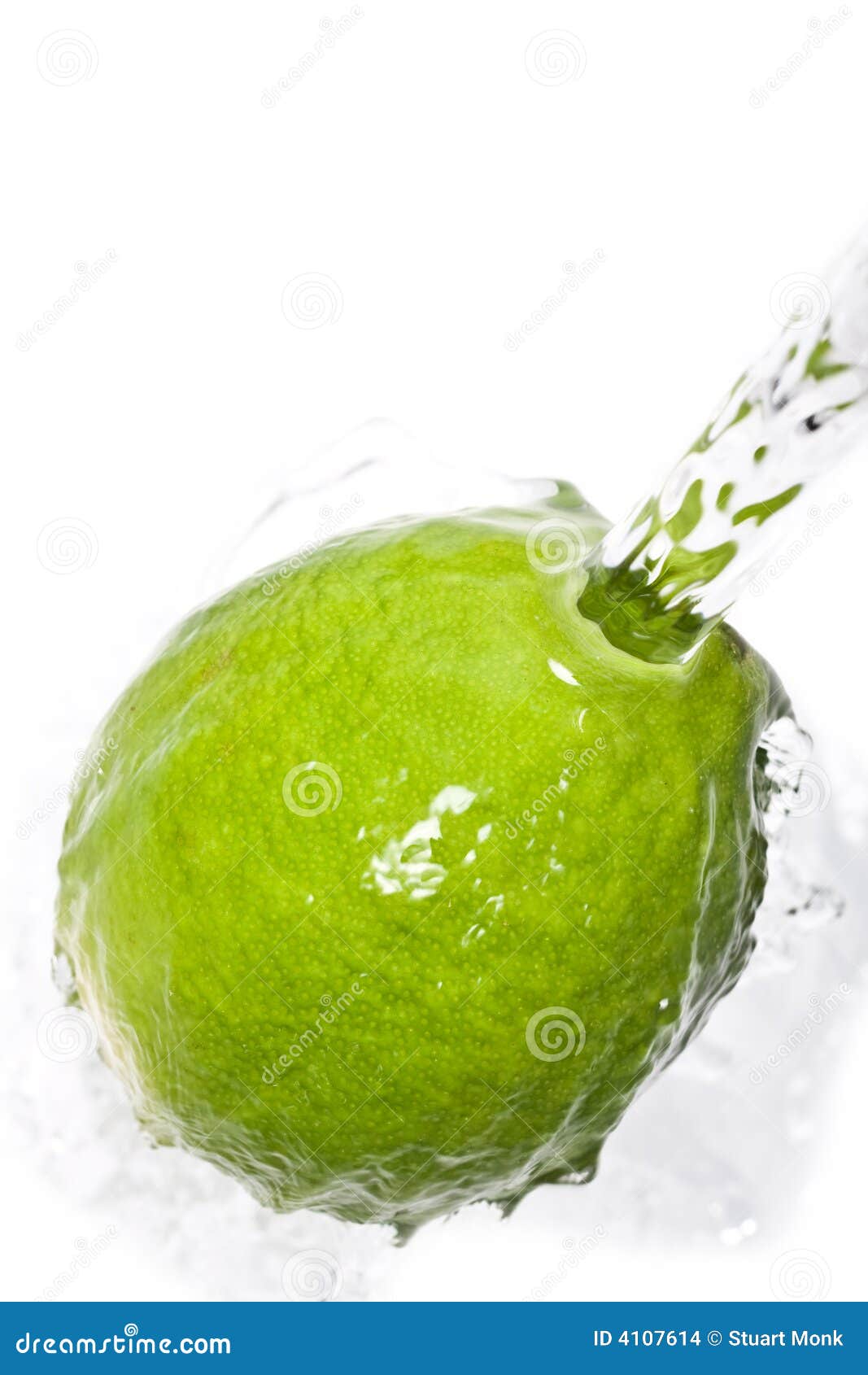 Lime splash stock photo. Image of healthy, green, white - 4107614