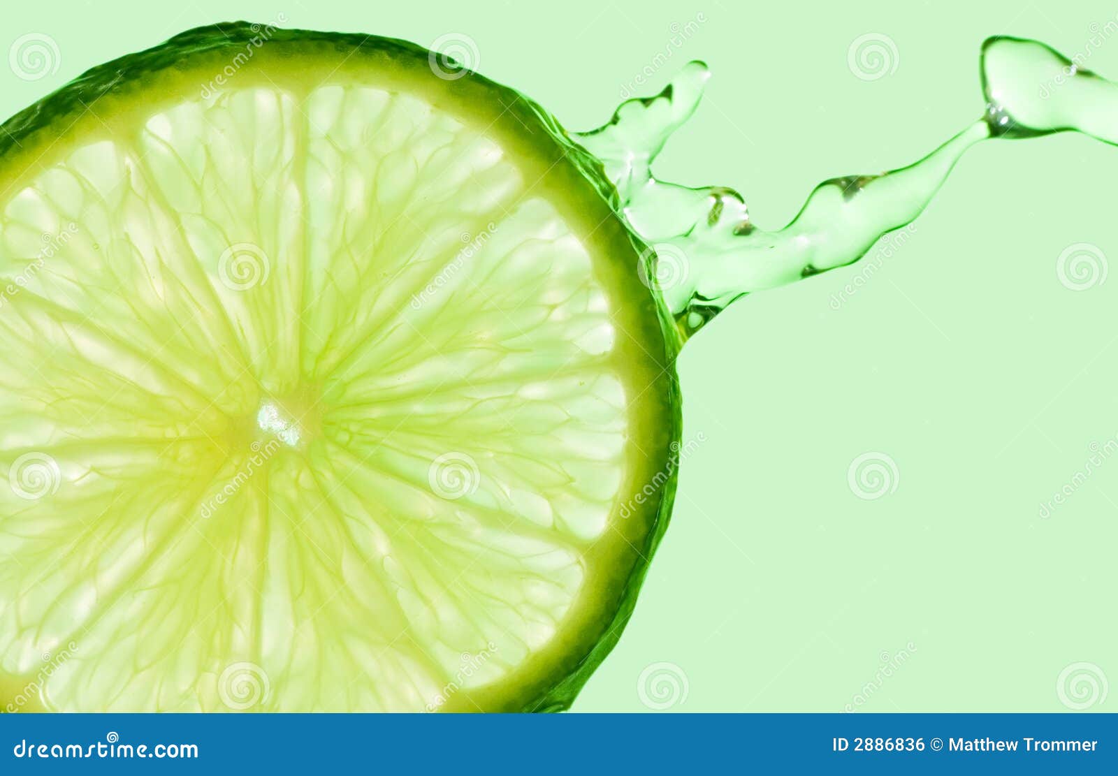 Lime Splash on Green stock photo. Image of lime, isolation - 2886836