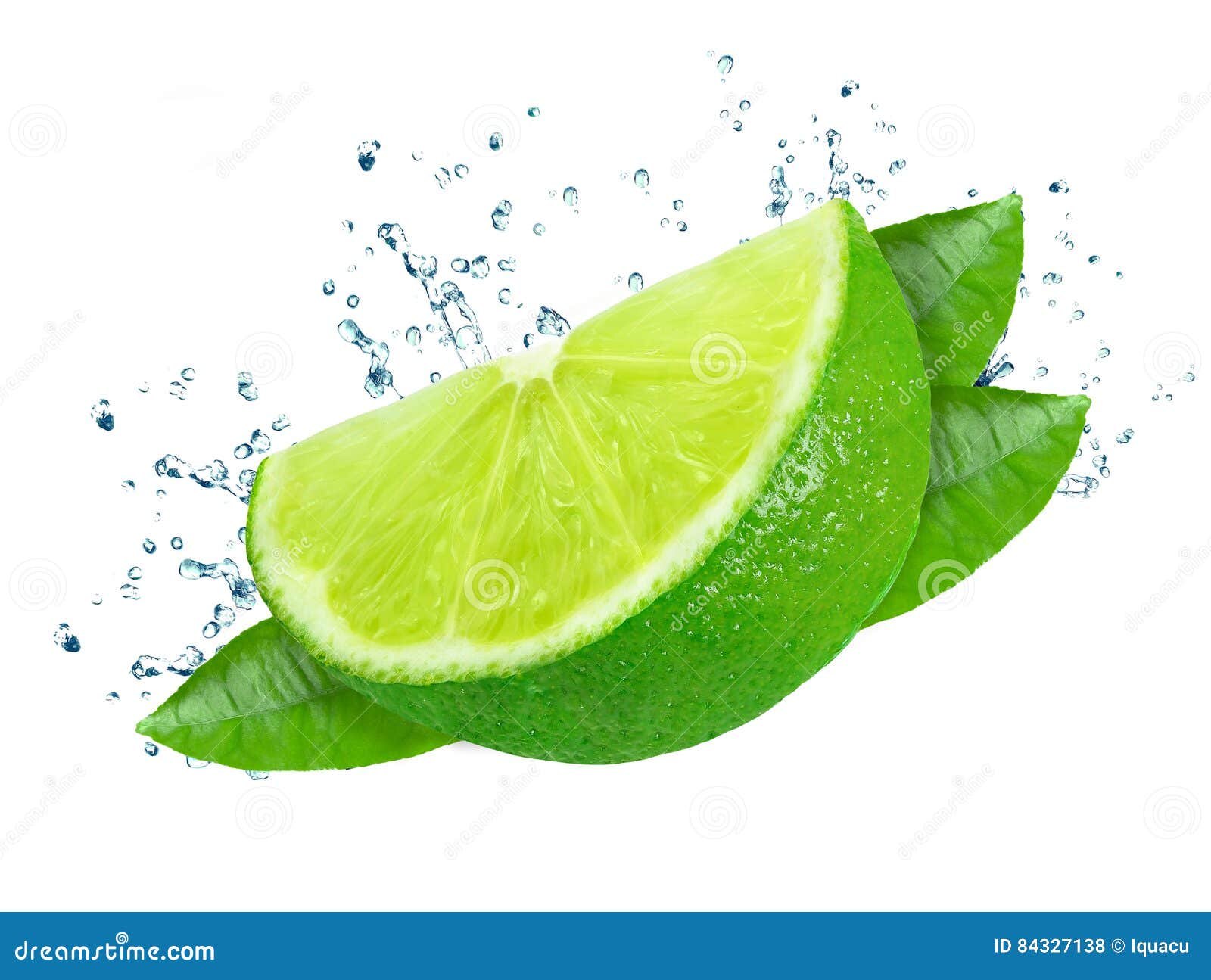 Lime splash isolated stock photo. Image of slice, splash - 84327138