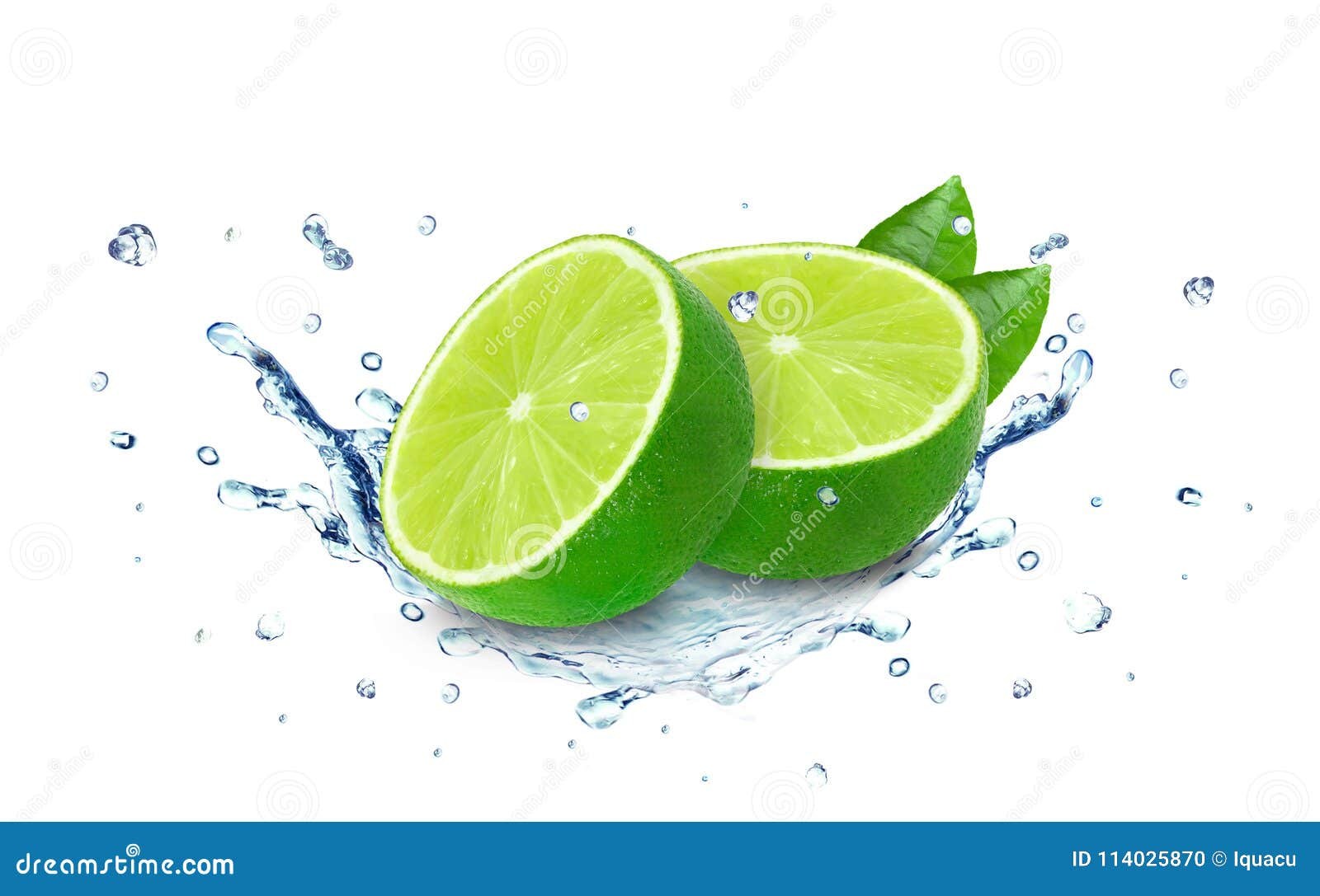 Lime splash water stock photo. Image of white, liquid - 114025870