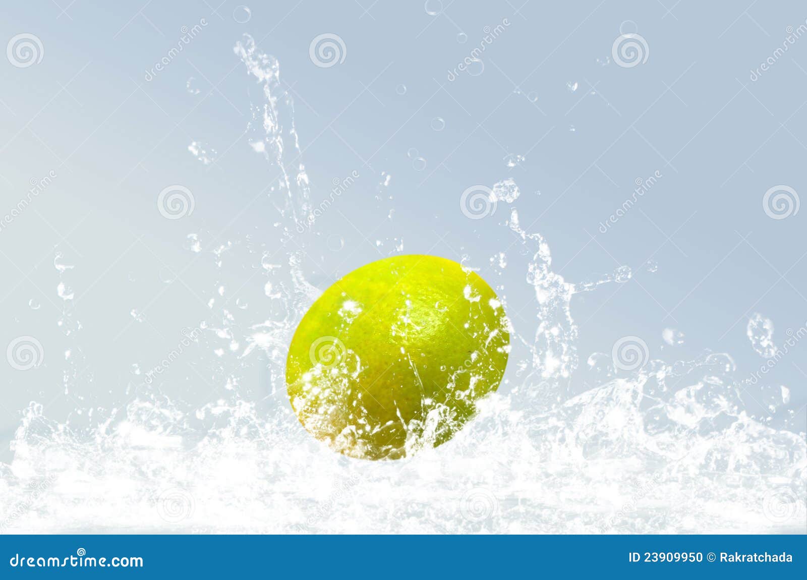 Lime splashing stock photo. Image of motion, bright, healthy - 23909950