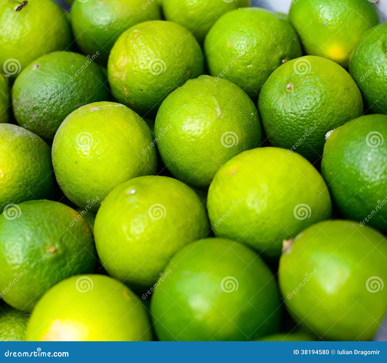 Lime Texture stock photo. Image of fruit, limes, lime - 38194580