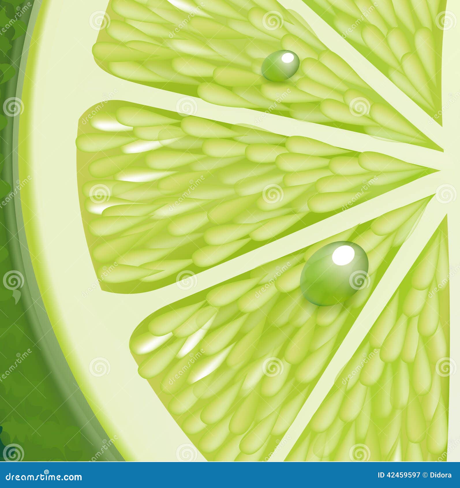 Lime Texture Detailed View with Drops Stock Vector - Illustration of ...