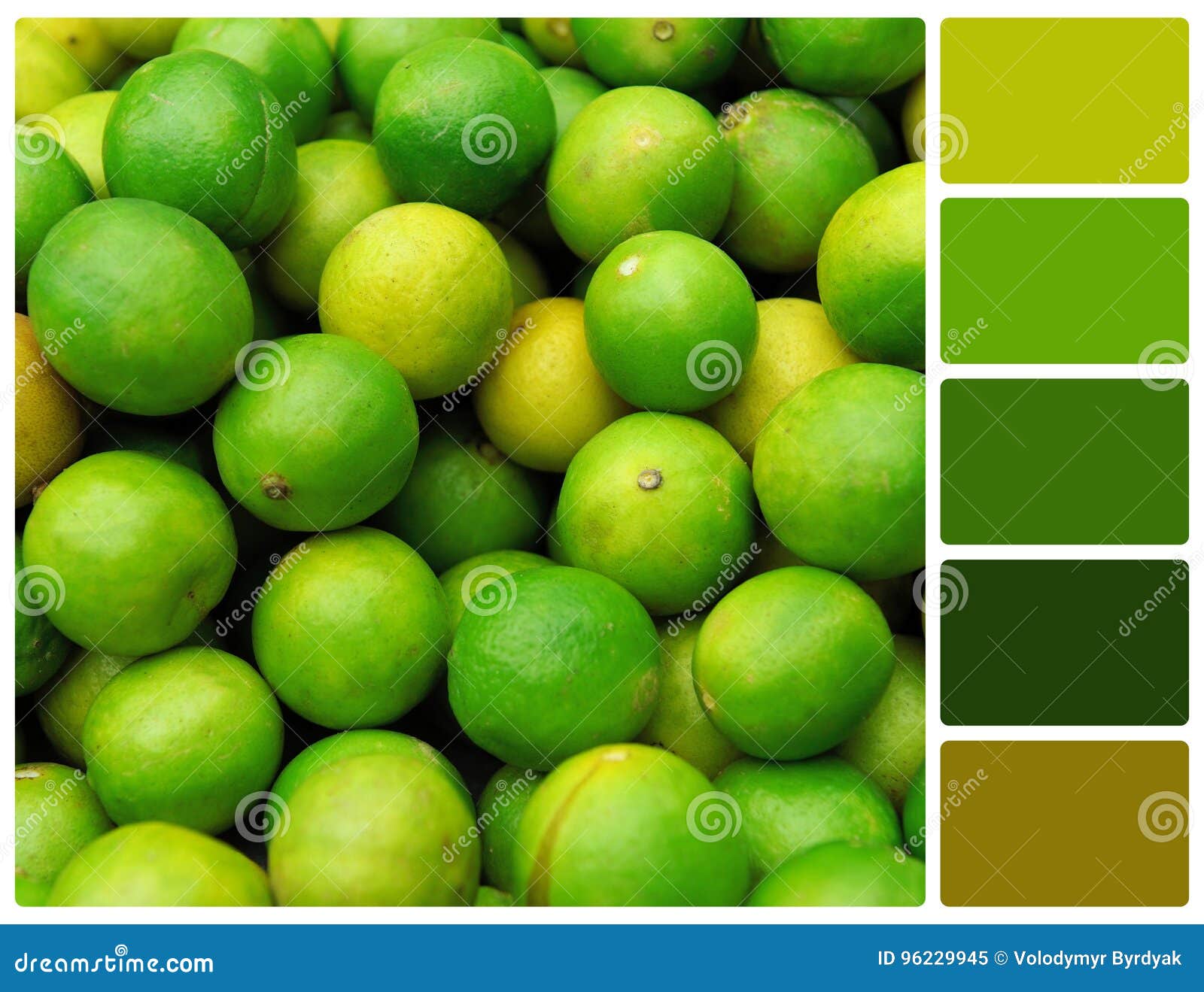 Lime Texture with Palette Color Swatches Stock Image - Image of chart ...