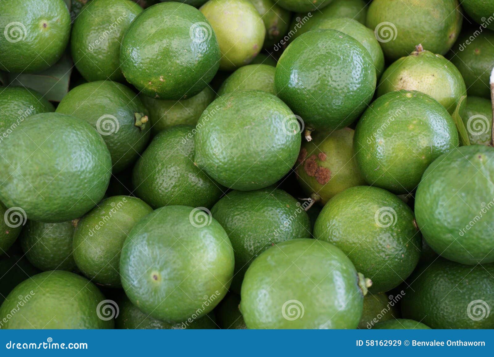 Lime texture stock image. Image of lime, nature, food - 58162929