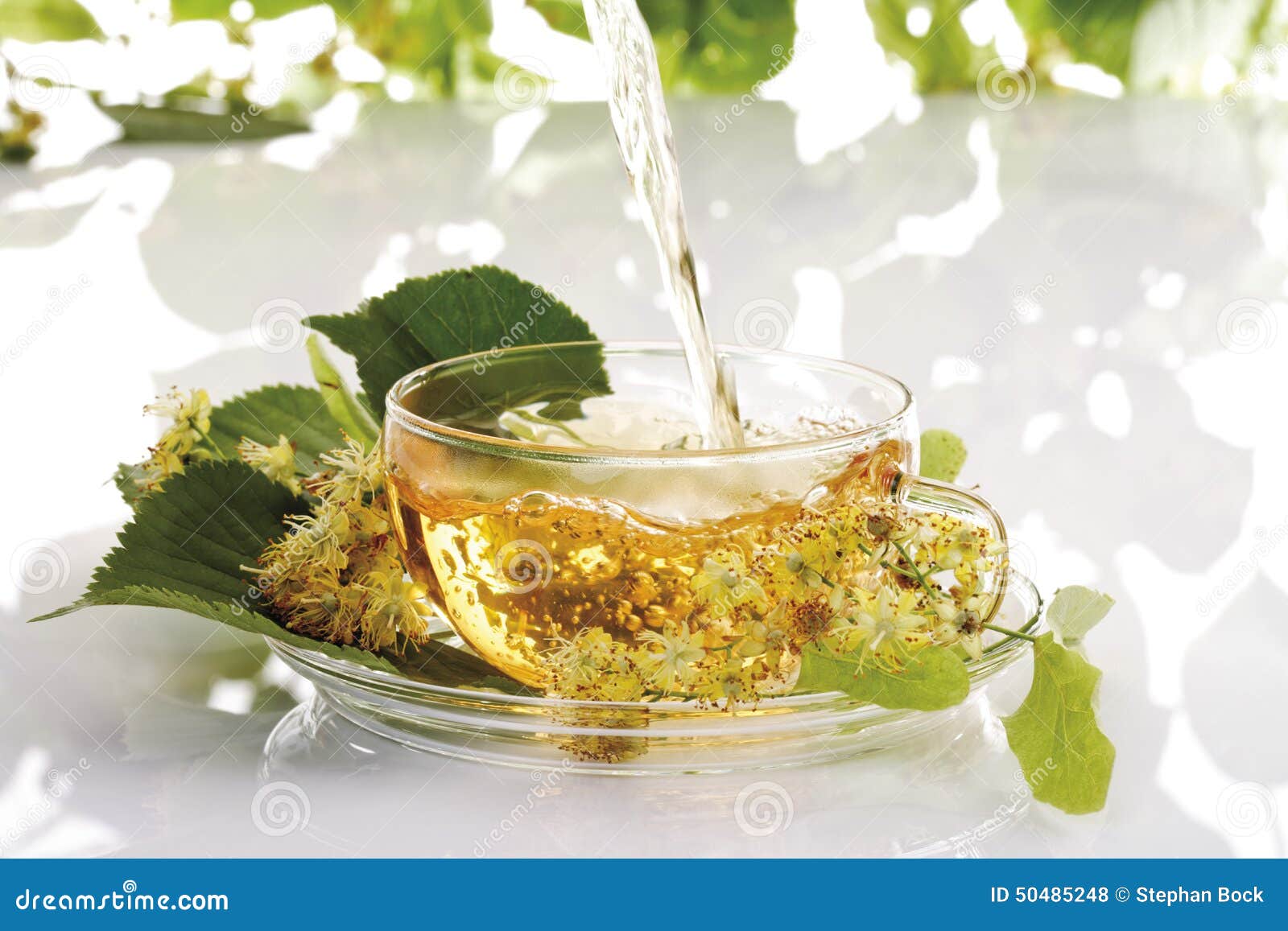 Lime Tree Blossom Tee, Herbal Health Tea In Cup Stock Photo - Image of ...