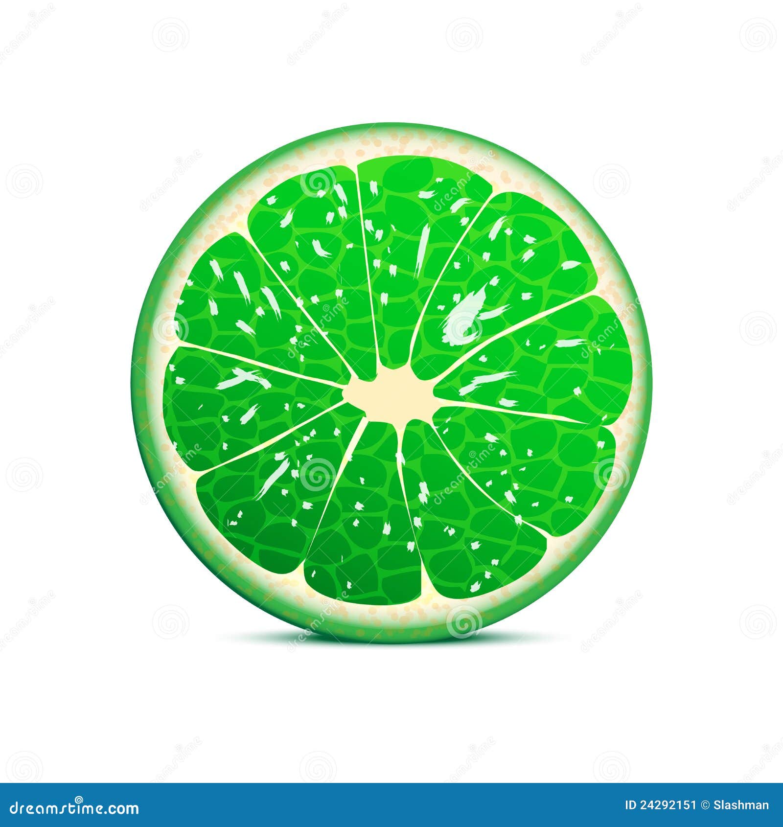 Lime vector illustration stock vector. Illustration of health - 24292151