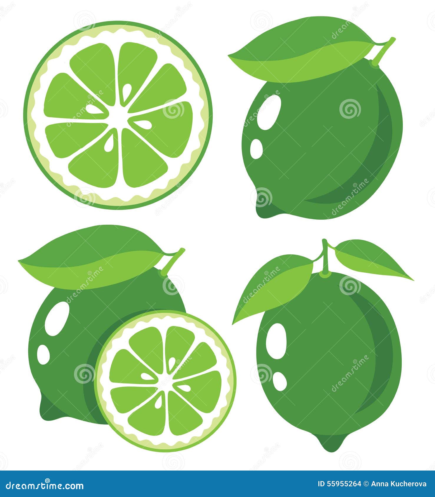 Lime vector illustration stock vector. Illustration of ingredient ...