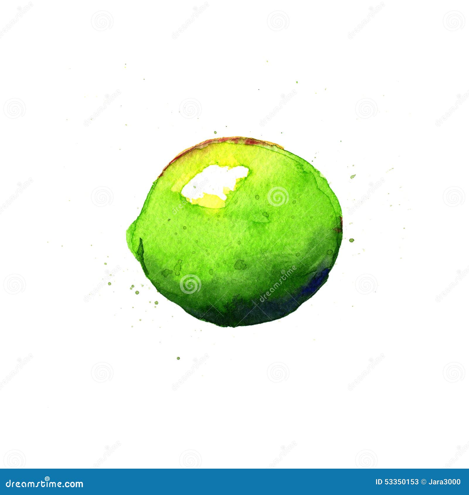 Lime. Watercolor Illustration Stock Illustration - Illustration of ...
