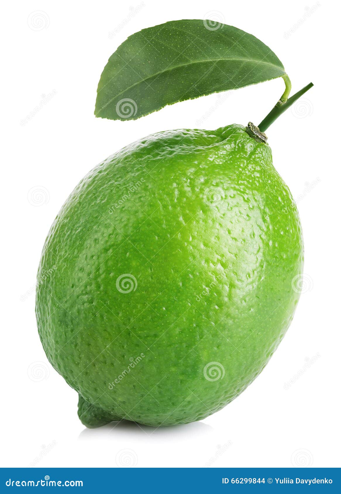 Lime. Whole Lime with Leaf Isolated on a White Background Stock Photo ...