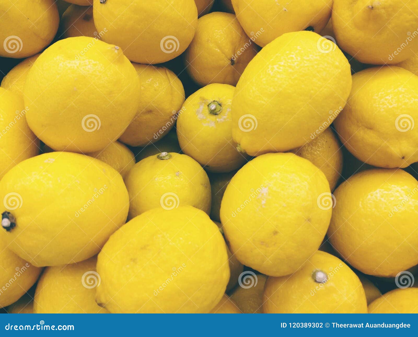 Lime is Yellow and Circular in Shape Stock Photo - Image of lime ...