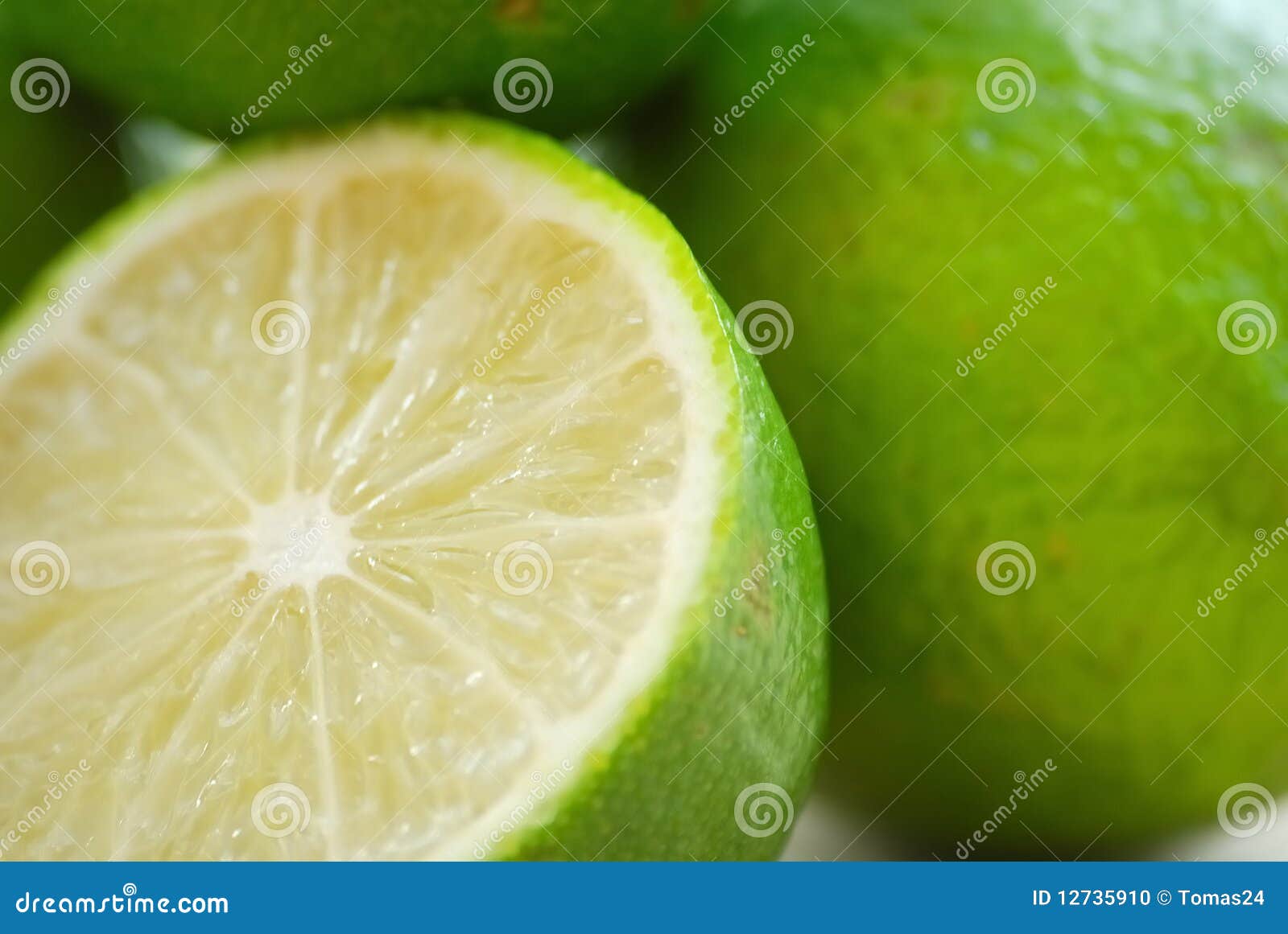 Limes stock photo. Image of acid, lime, plant, fragrant - 12735910